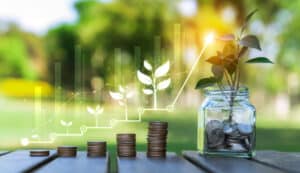 SSE Registration Process for NPOs: Know Benefits and How to Apply