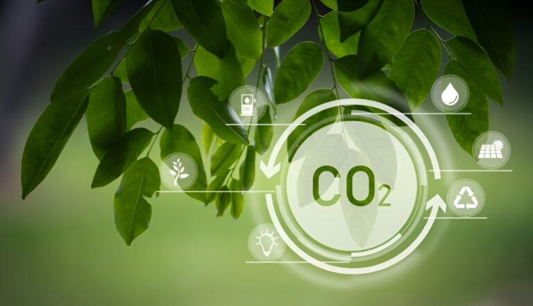 CDP Reporting: Categories, Scores and their Impact